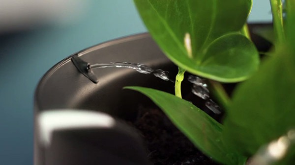 Parrot Pot, la maceta inteligente que cuida de tus plantas