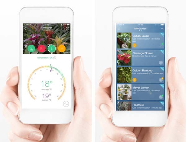 Parrot Pot, la maceta inteligente que cuida de tus plantas