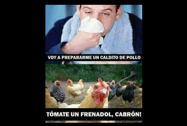 Memes Sobre El Resfriado