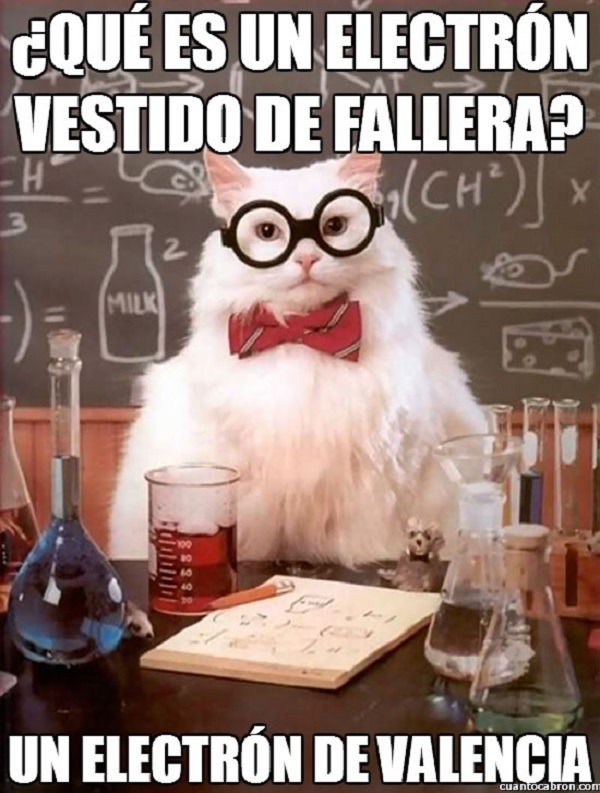 Los mejores memes de Fallas para compartir por WhatsApp - tuexperto.com