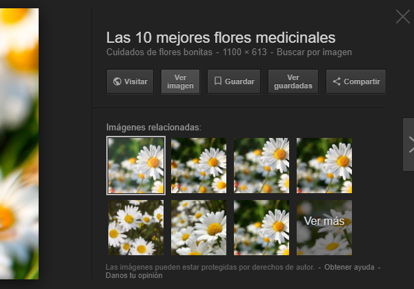 Una denuncia acaba con el botón de "ver imagen" en Google