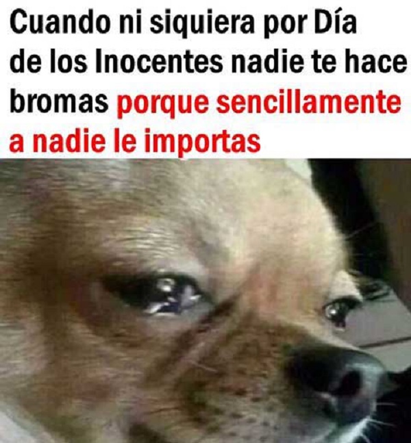 Los mejores memes del Día de los Inocentes