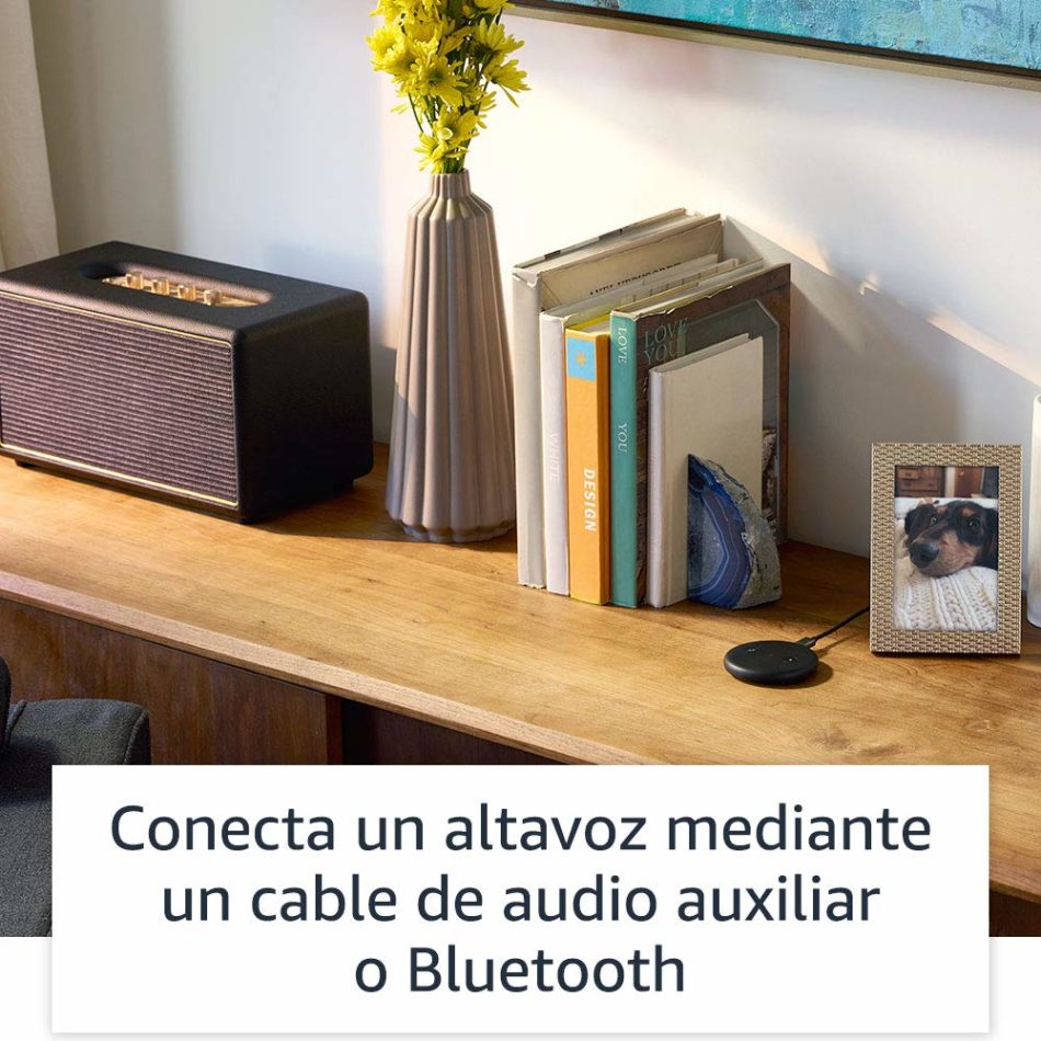Amazon Echo Input, incluye el asistente Alexa en cualquier altavoz