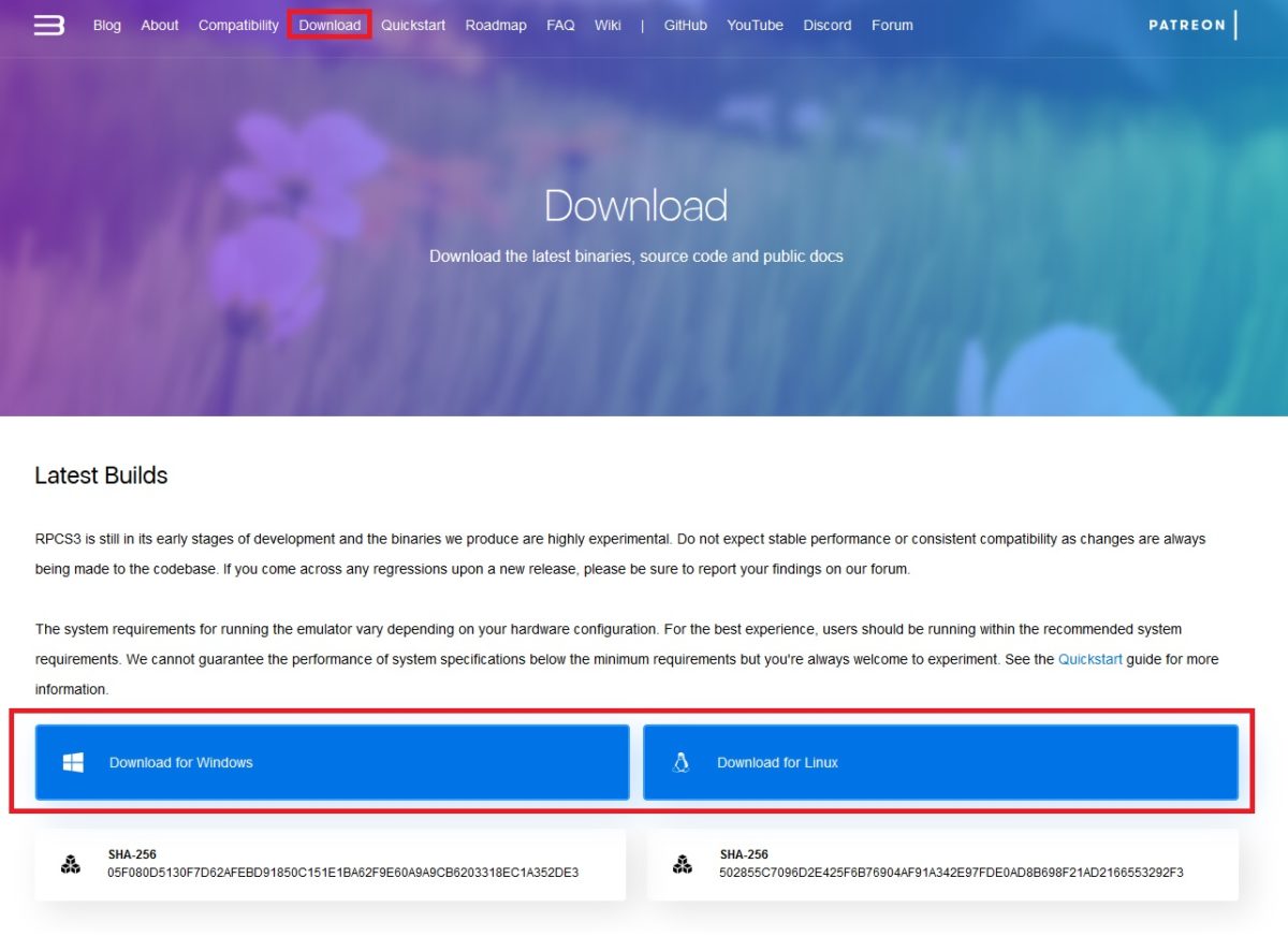 RCPS3, qué es, requisitos y cómo usarlo en tu PC