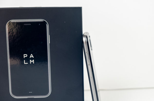 Palm, análisis con características, precio y opinión