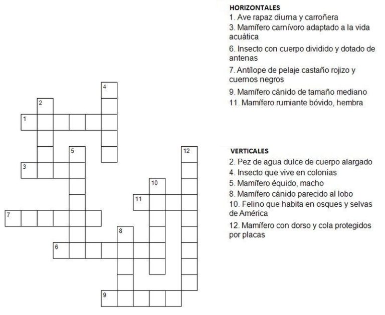 100 pasatiempos para toda la familia para descargar e imprimir