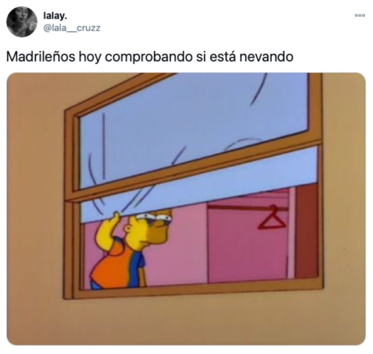 Los memes más divertidos sobre el temporal de nieve y frío de España