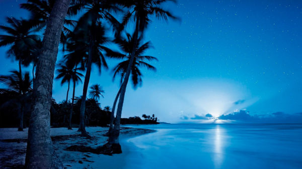 Los mejores 17 fondos de pantalla de playa HD para PC: atardecer, real ...