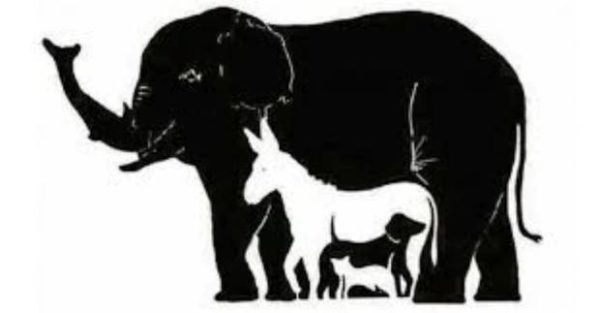 10 retos visuales entretenidos que puedes hacer con estas imágenes