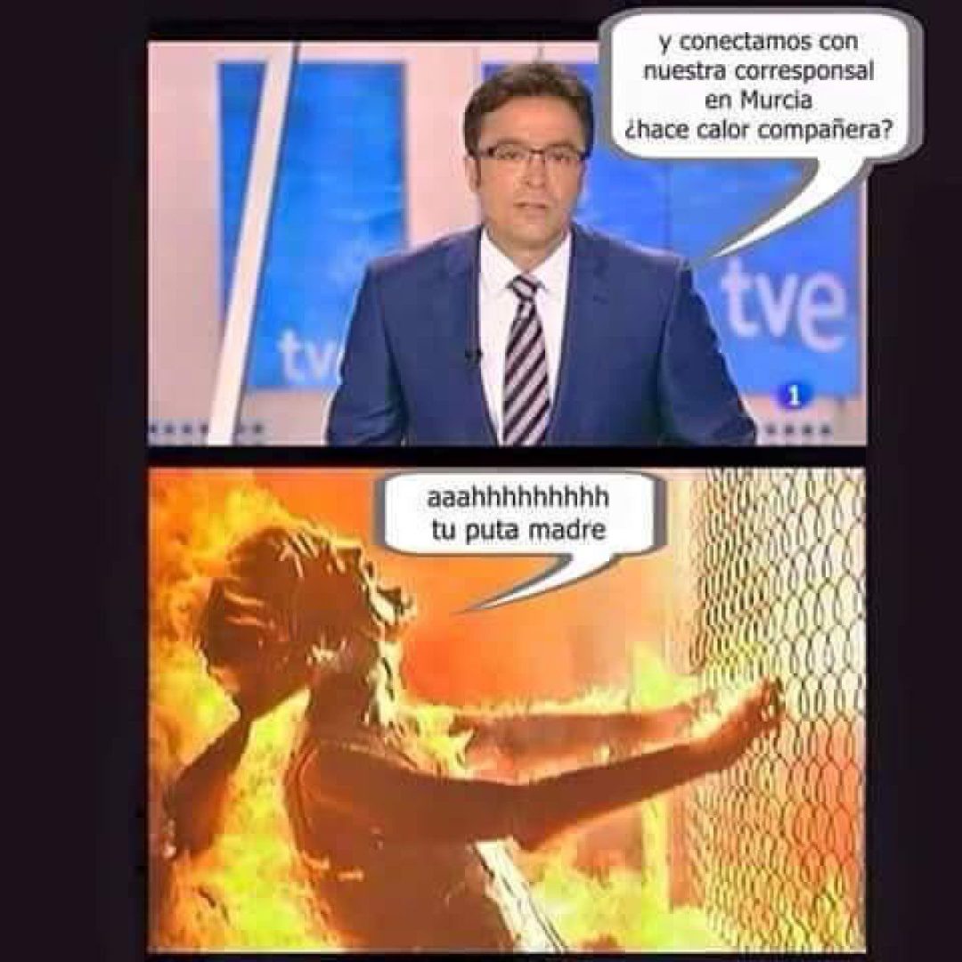 Los mejores memes y GIF de la ola de calor