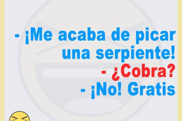 50 imágenes con chistes malos pero muy malos para enviar por Whatsapp o ...