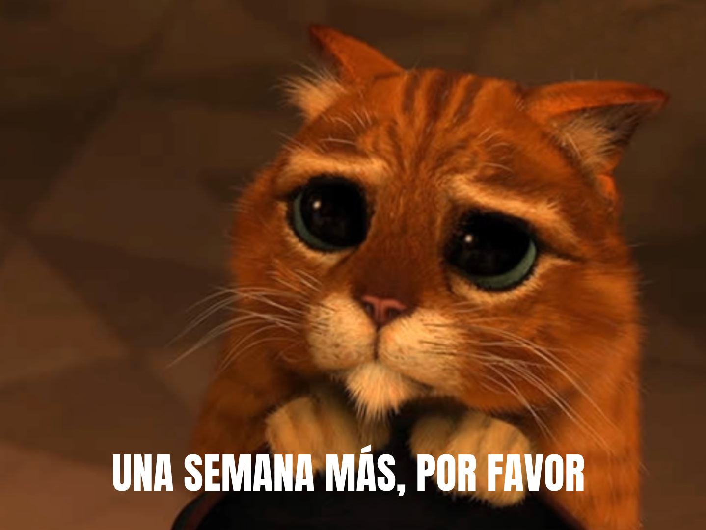 Los mejores memes y GIFs para soportar el fin del verano y de las ...