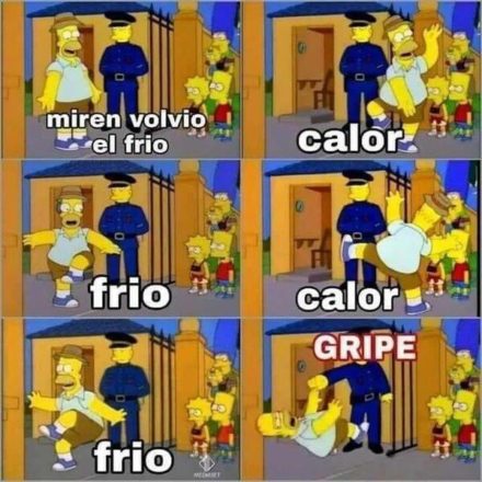 Los memes más divertidos para afrontar el frío con una sonrisa