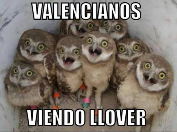 Los memes más divertidos para afrontar con una sonrisa estos días de lluvia