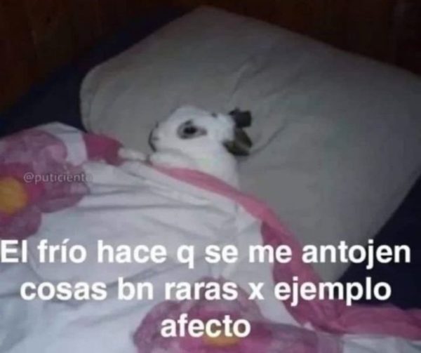 Los mejores memes del temporal de frío, lluvia y nieve que trae Fien