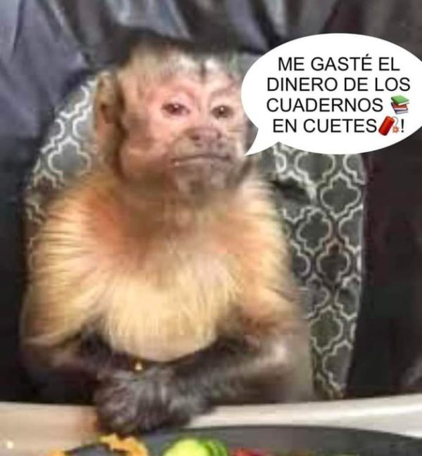 Los memes más cachondos para hacer menos empinada la cuesta de enero