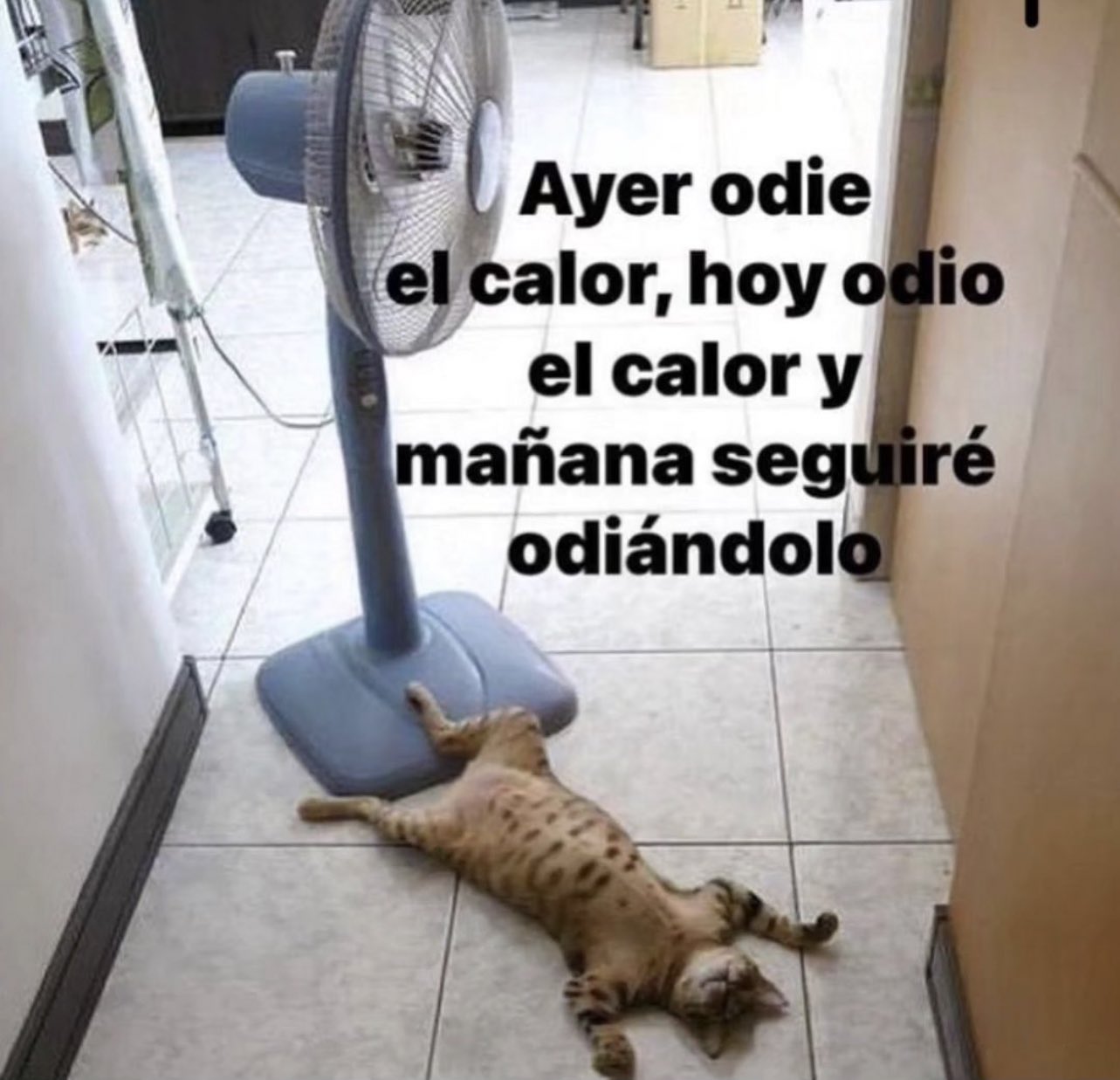Los memes más divertidos de la ola de calor que va a explotar los ...