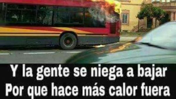 50 imágenes con guasa para hacer frente a la ola de calor