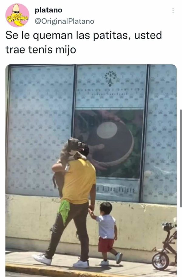Los memes más divertidos de la nueva ola de calor para superarla con humor