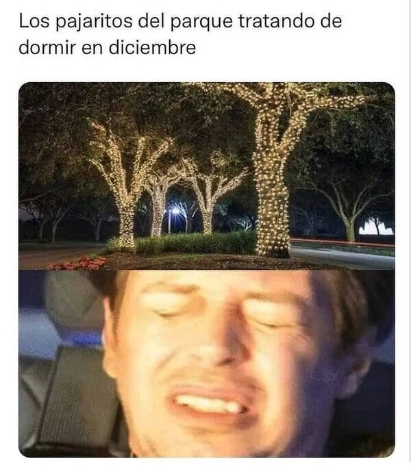 Los memes más divertidos para celebrar la llegada de la Navidad y ...