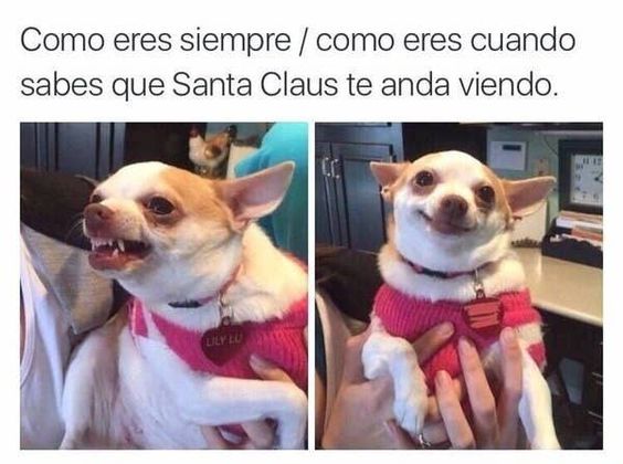 Los memes más divertidos para celebrar la llegada de la Navidad y ...