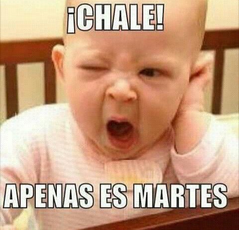 Los memes de martes más divertidos para superar el día más duro de la ...