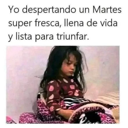 Los memes de martes más divertidos para superar el día más duro de la ...