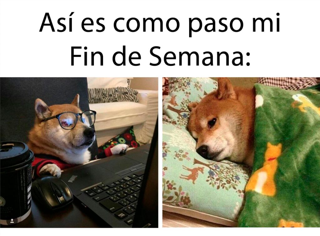 Los memes más divertidos de ya es fin de semana
