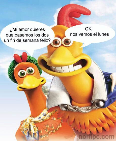 Los memes más divertidos de ya es fin de semana