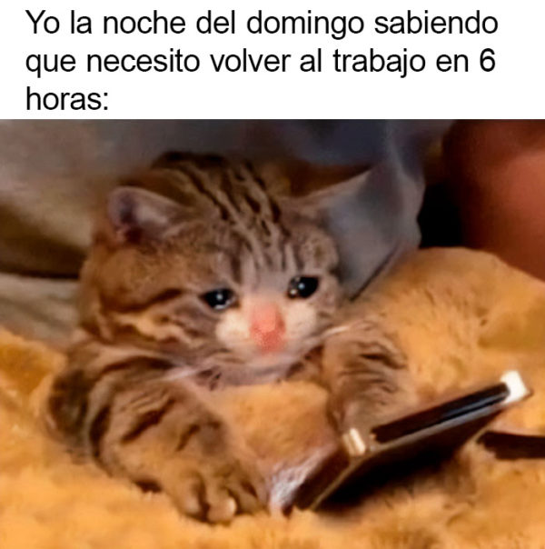Los memes más divertidos de ya es fin de semana