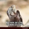 Los memes más divertidos de ya es fin de semana