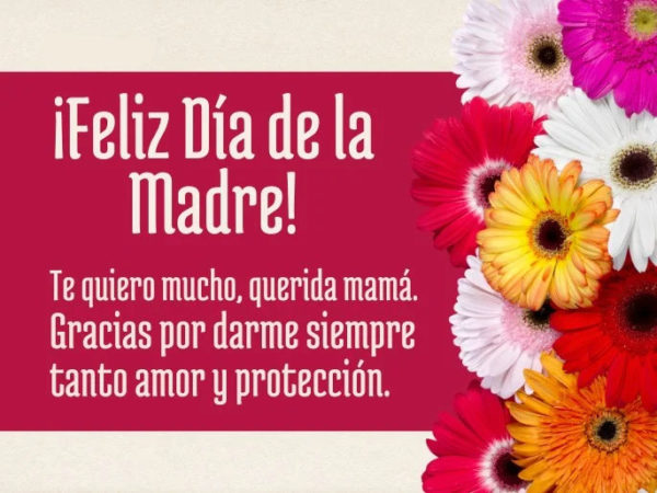 115 Mensajes E Imágenes De Whatsapp Para Felicitar El Día De La Madre