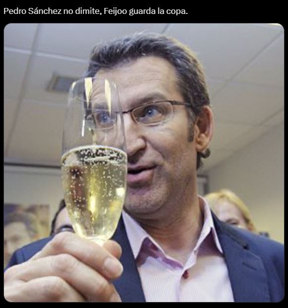 Los memes más divertidos e ingeniosos sobre la decisión de Pedro Sánchez