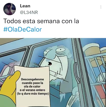 Los memes más divertidos de la primera ola de calor del verano 2024