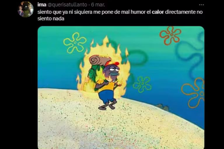 Los memes más divertidos de la primera ola de calor del verano 2024