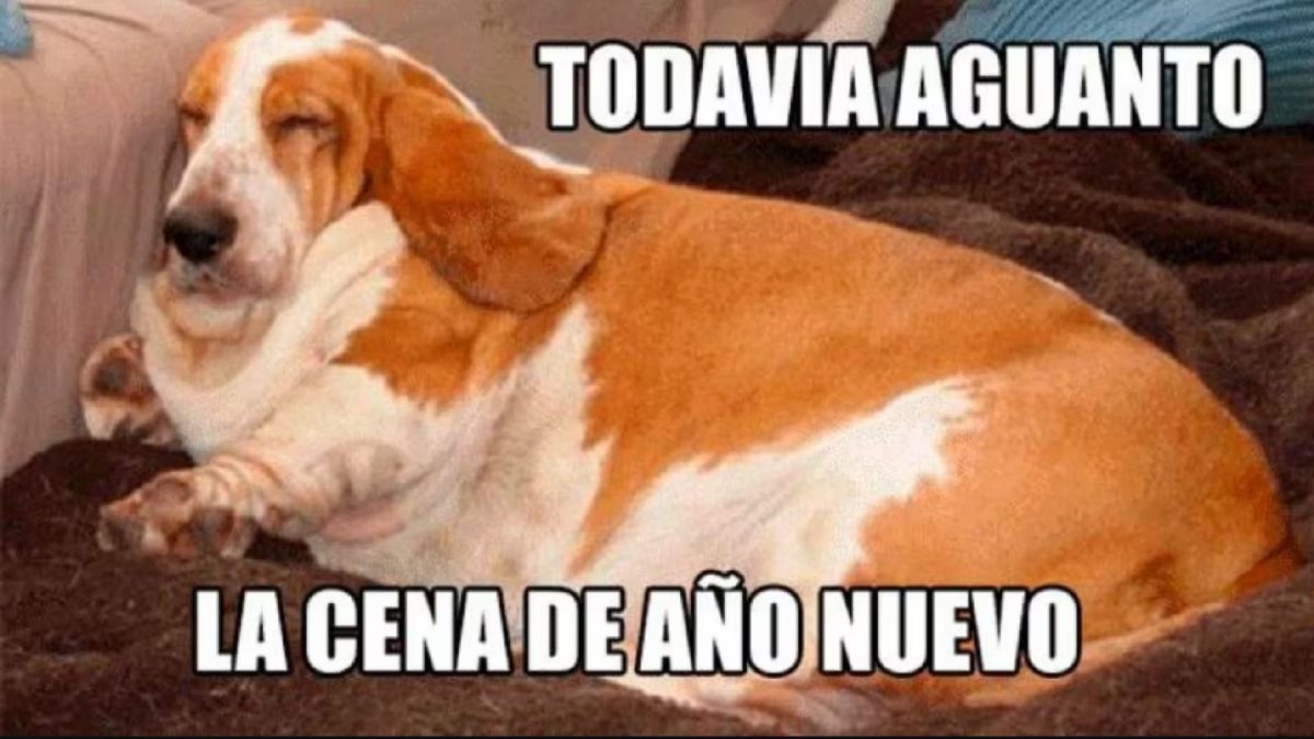 Los memes, mensajes y GIFS más graciosos para felicitar el nuevo año 2025