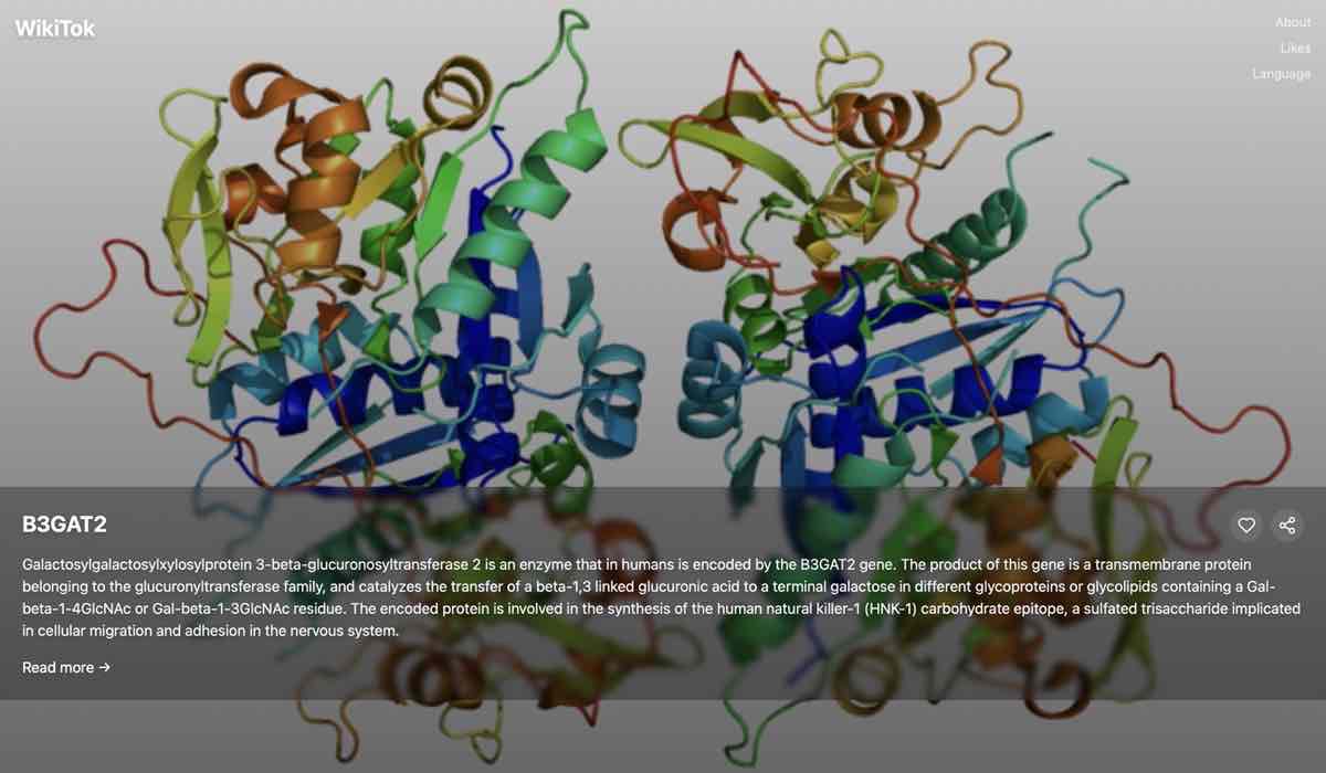 Cómo funciona WikiTok, la app que mezcla la Wikipedia con TikTok
