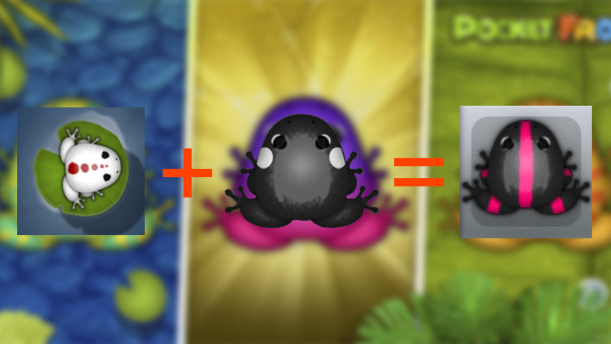 Cómo conseguir nuevas ranas en Pocket Frogs